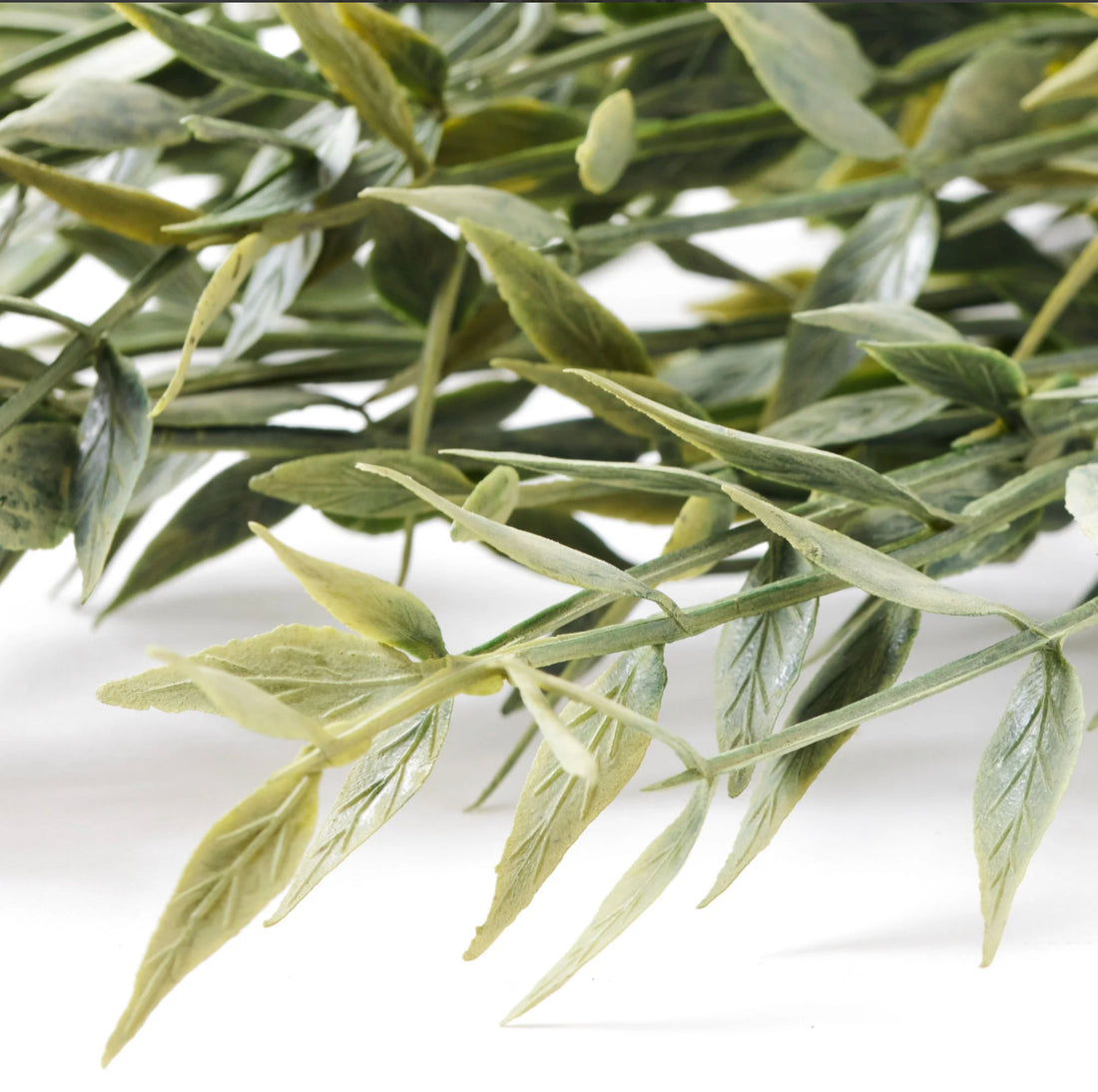 Italian Ruscus stem Artificial Greenery - 14 inches – The Stilwell House