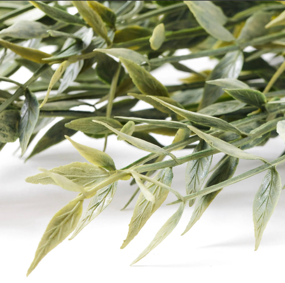 Italian Ruscus stem Artificial Greenery - 14 inches – The Stilwell House