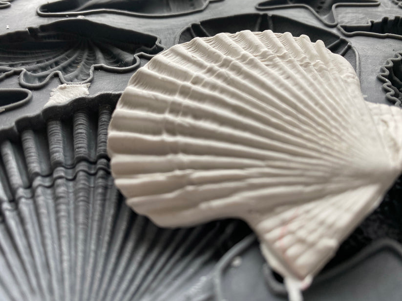 IOD Sea Shells 6x10 IOD Moulds™ – The Stilwell House